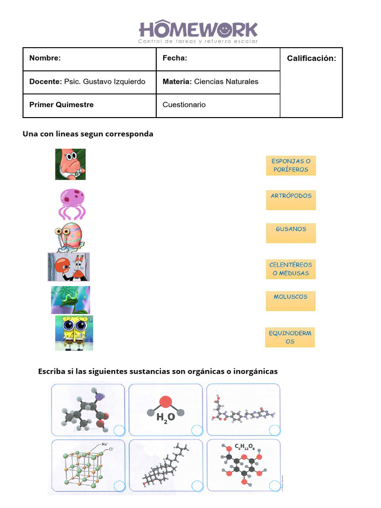 Cuestionarios CCNN | PDF
