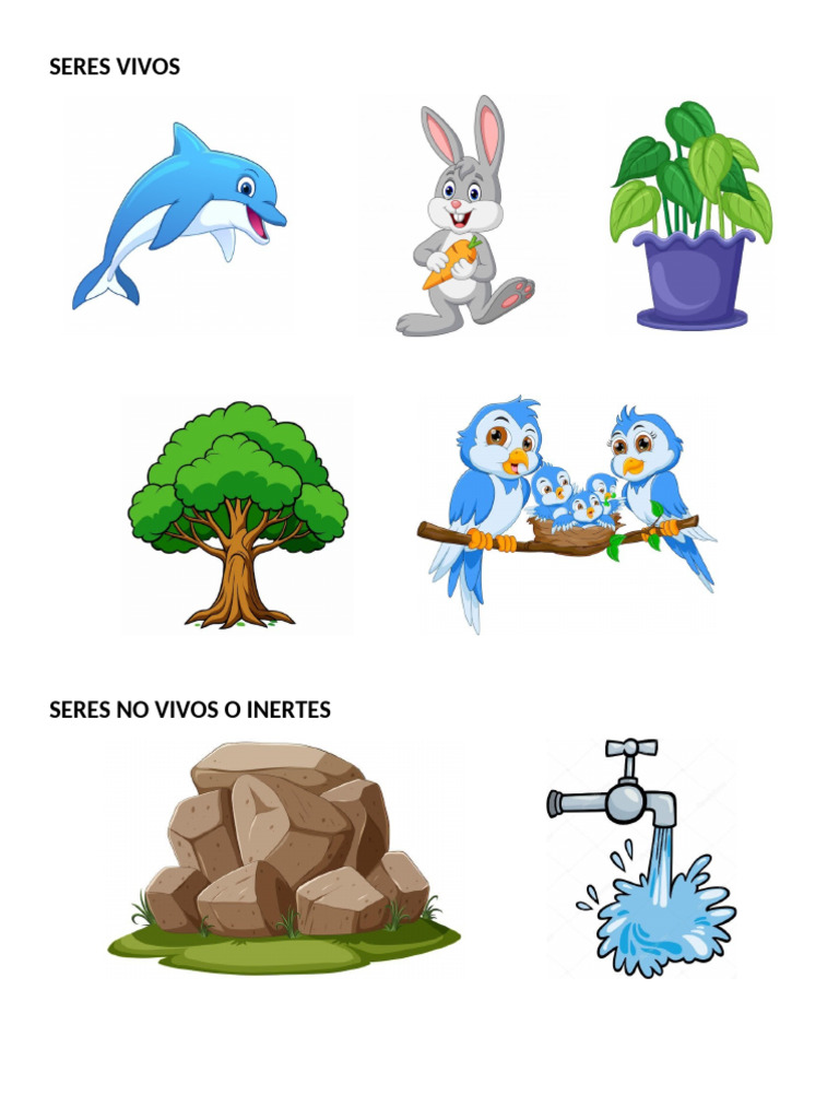 Seres Vivos y No Vivos | PDF