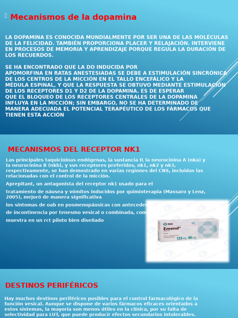 Mecanismo de La Dopamina | PDF