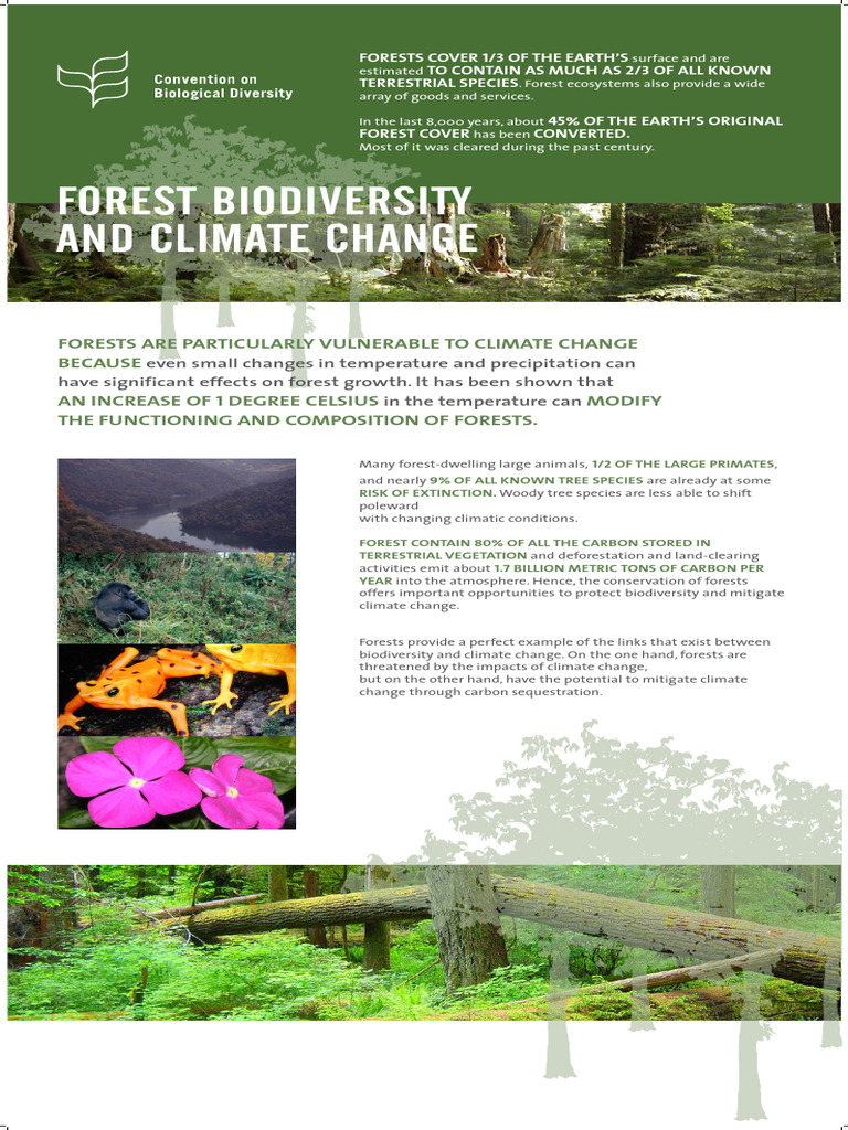 CBD - Forest Biodiversity and Climate Change | PDF