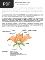 Plant Structure and Function Lab Guide | PDF | Flowers | Plants