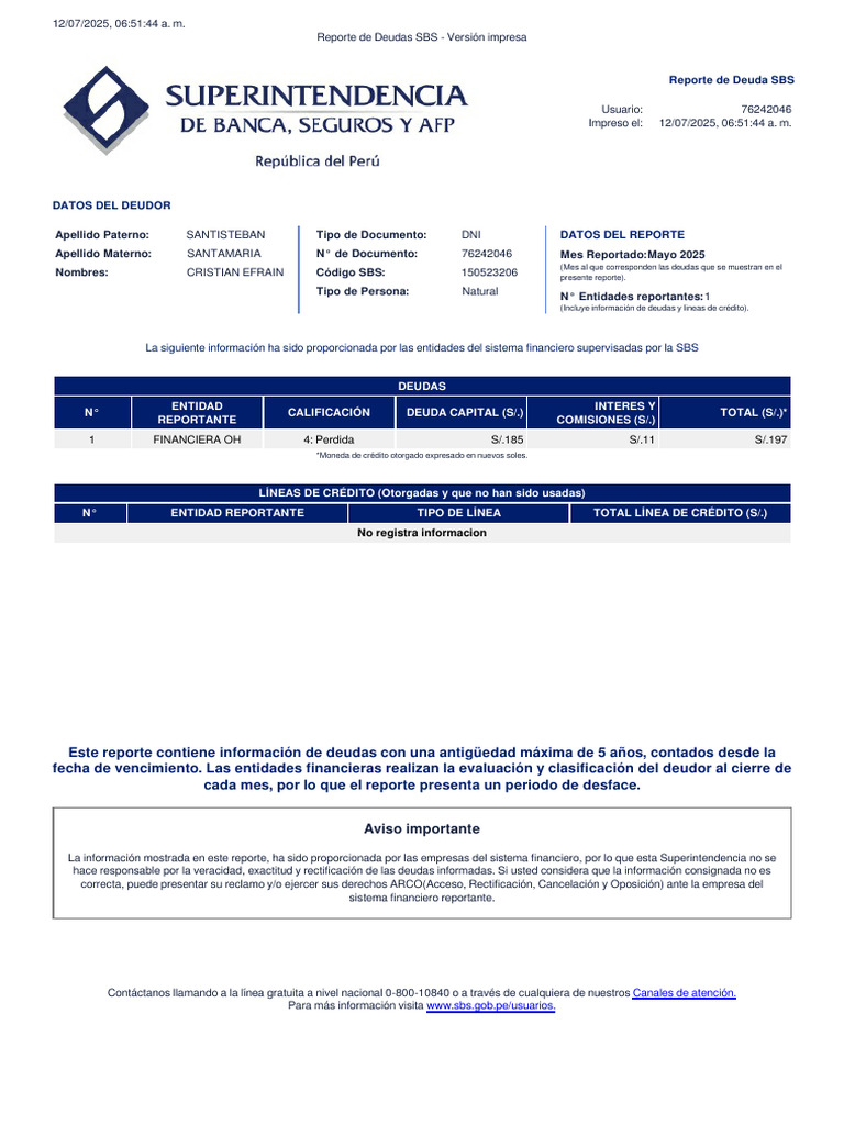 Reporte de Deudas | PDF | Bancos | Deuda