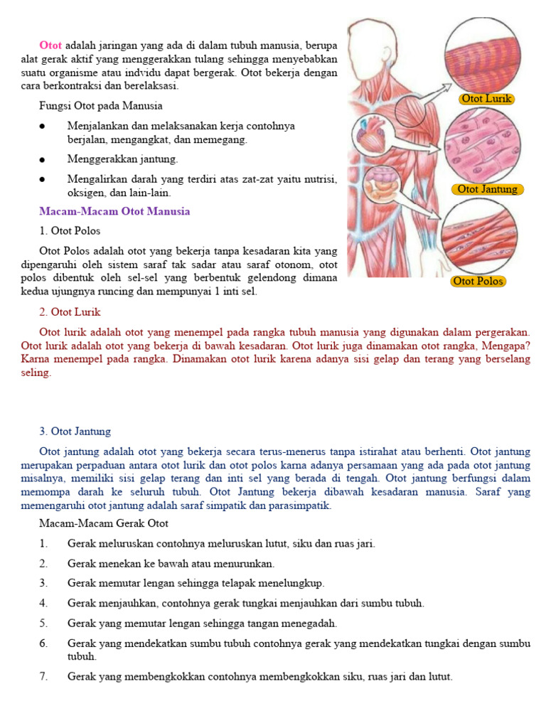 Ipa Otot | PDF