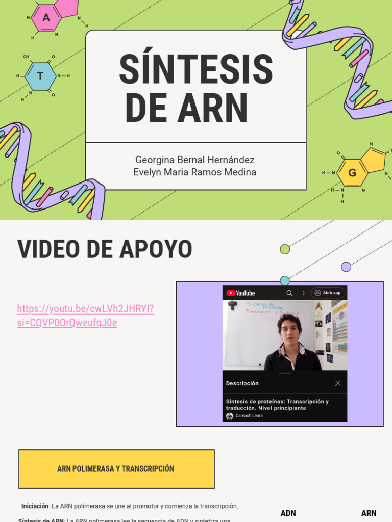 Síntesis de Arn | PDF | Rna | La expresion genica