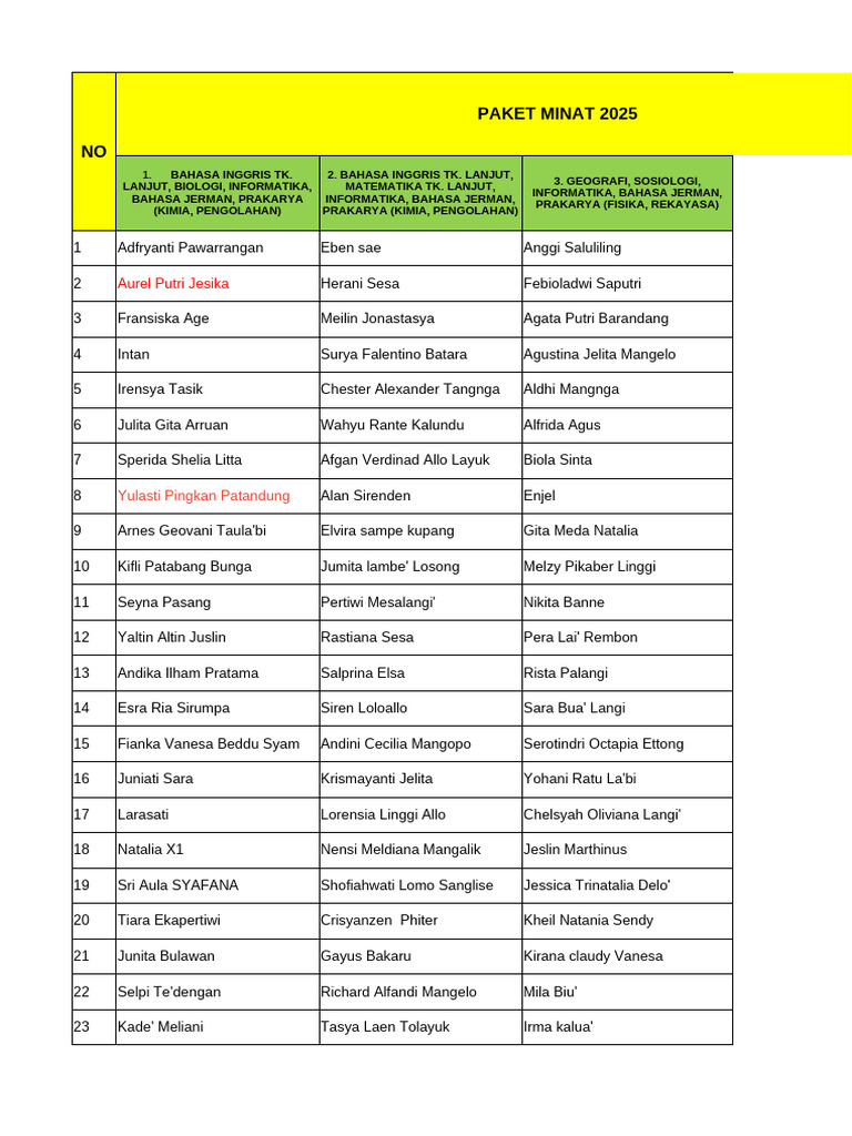 Data Minat 2025 X | PDF