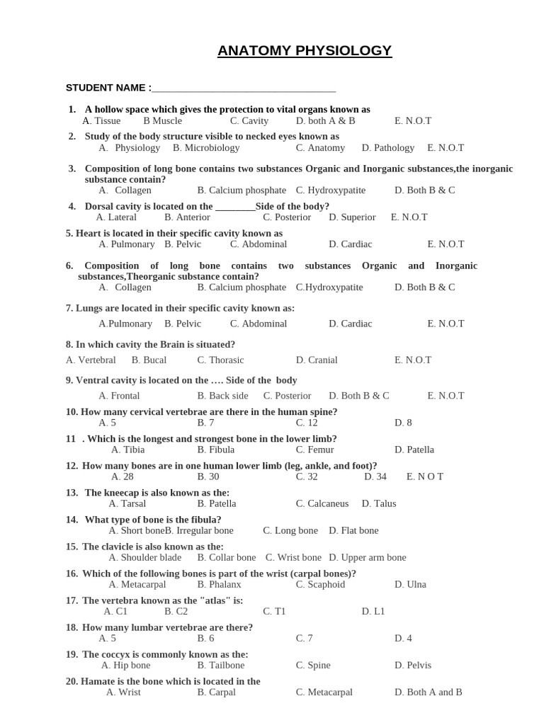 Anatomy and Physiology Quiz Questions | PDF | Vertebra | Vertebral Column
