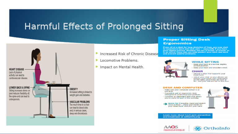 Harmful Effects of Prolonged Sitting Revised | PDF