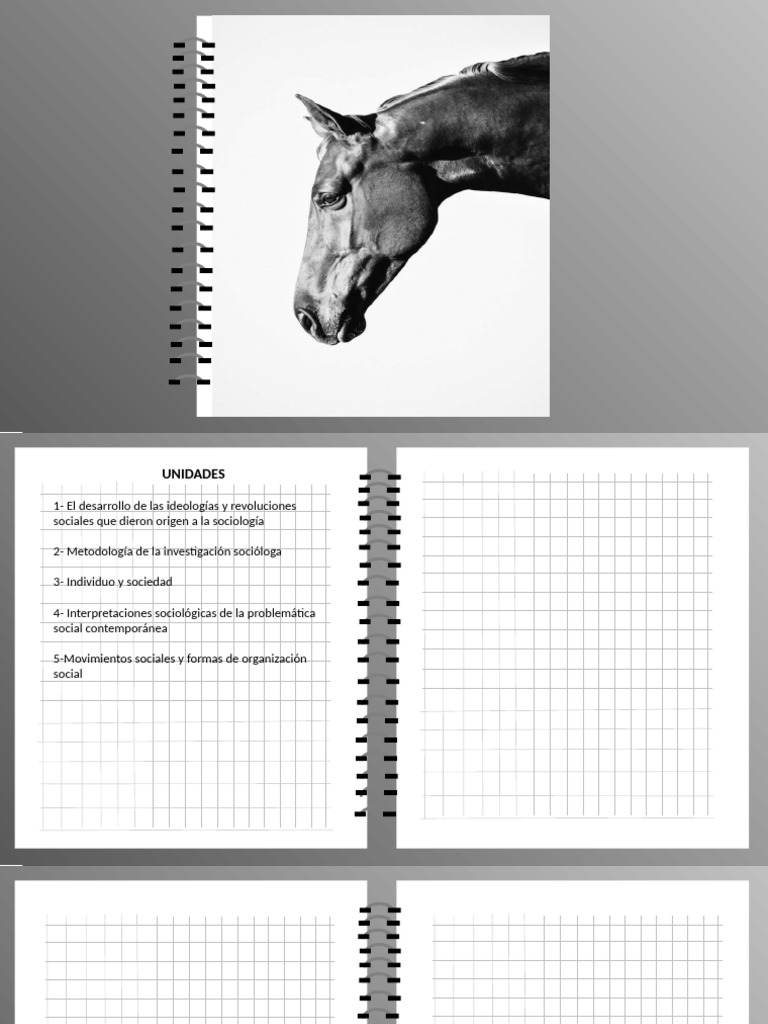 Cuaderno Interactivo | PDF