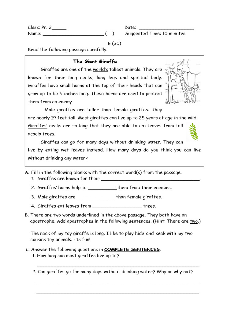 P2 English Comprehension | PDF | Giraffe
