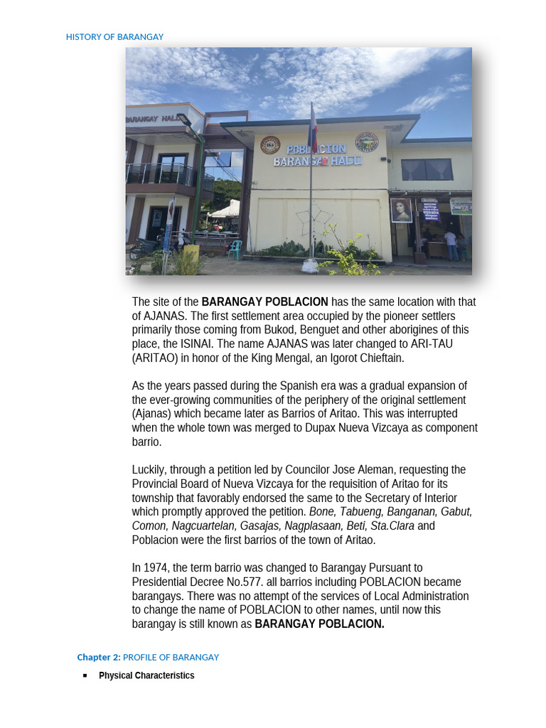 Comprehensive Barangay Development Plan Format | PDF