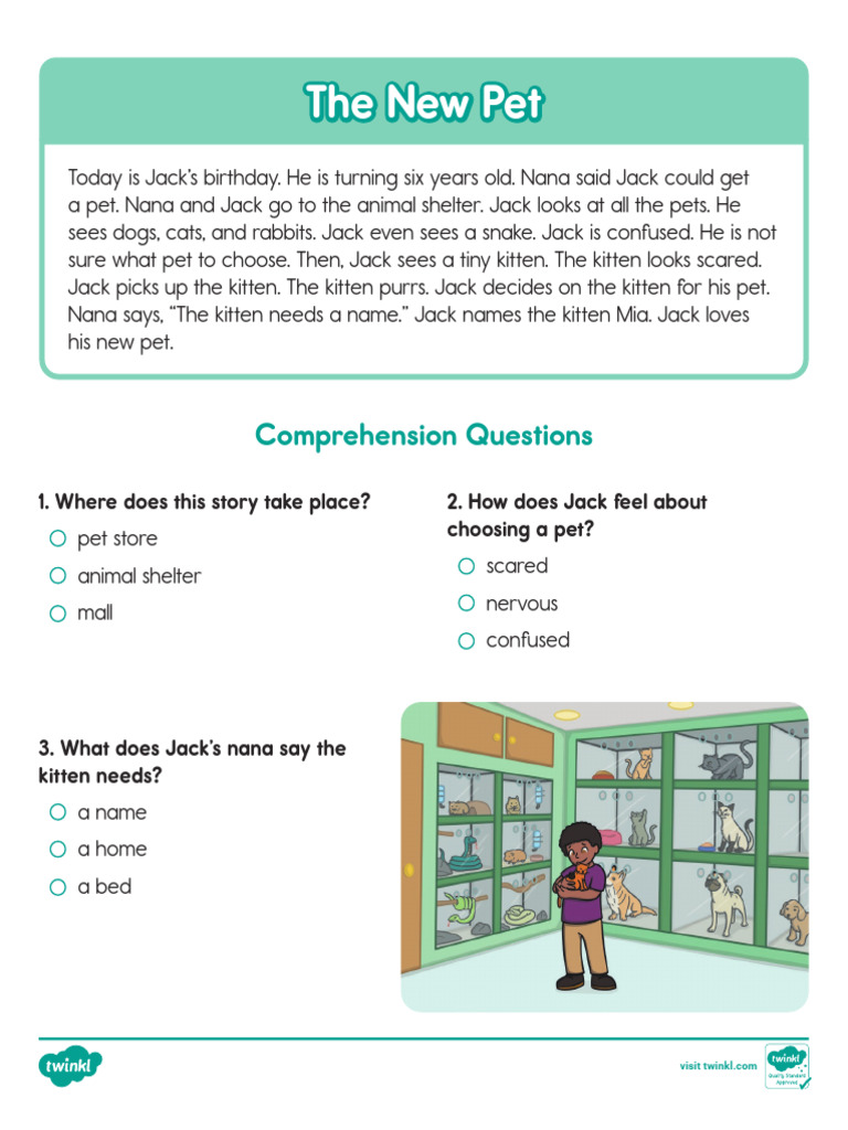 Color Kindergarten The New Pet Reading Passage Comprehension Activity | PDF