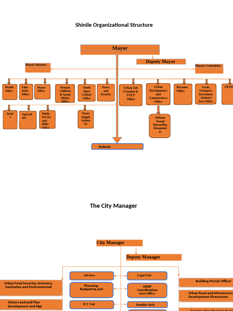 Shinile Vision & Mission | PDF | Economies