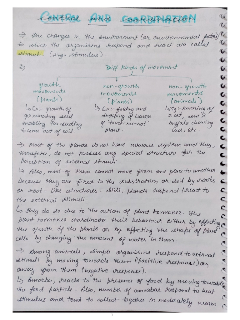 Control and Coordination Notes | PDF