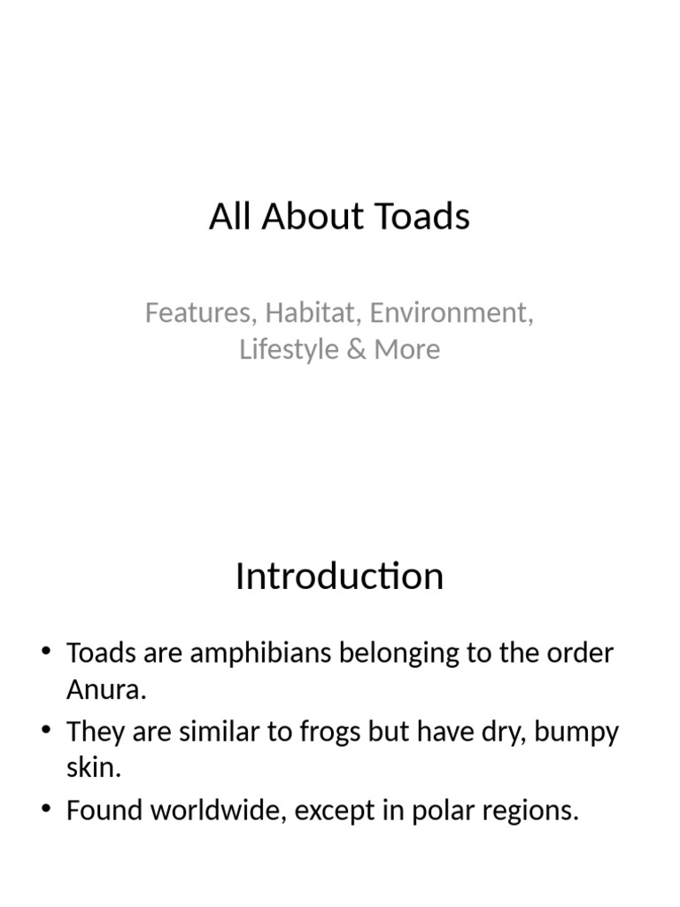 All About Toads Presentation | PDF