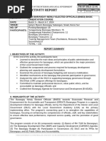 After Activity Report | PDF