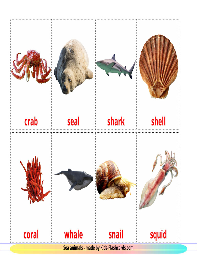 Sea Animals 8 A4 | PDF