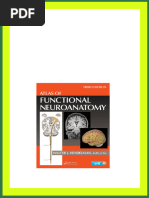 The Burke Lateropulsion Scale and Addressing Pusher Syndrome Post-Cva 1 ...