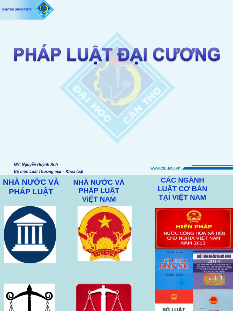 PLDC 01 | PDF
