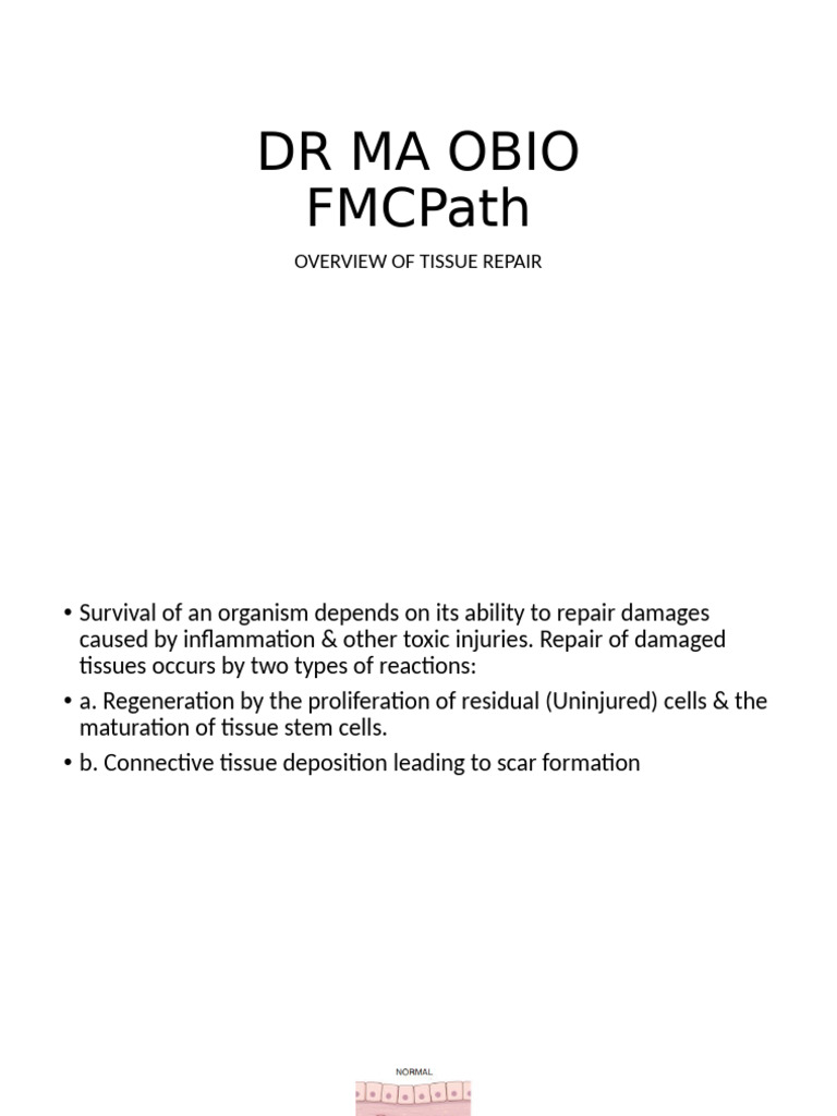 Tissue Repair: Regeneration and Scarring | PDF | Wound Healing ...
