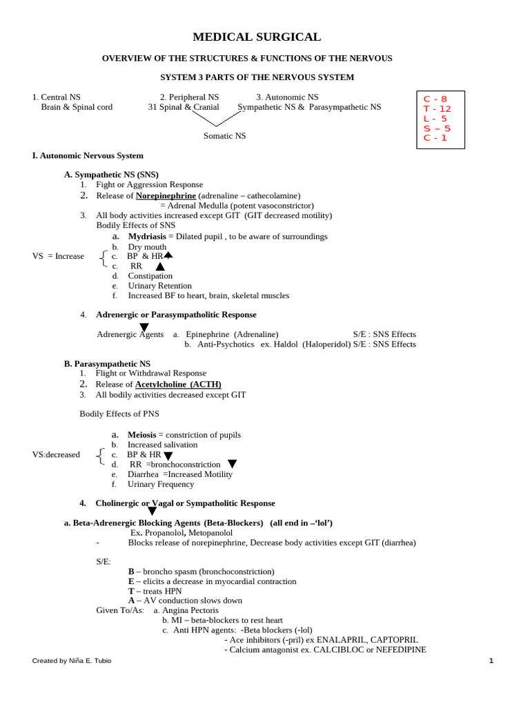 Review Usmle Step 2 CK Second Edition | PDF | Cerebrum | Nervous System