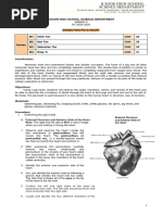 Mammalian Heart Dissection Overview | PDF | Heart Valve | Heart