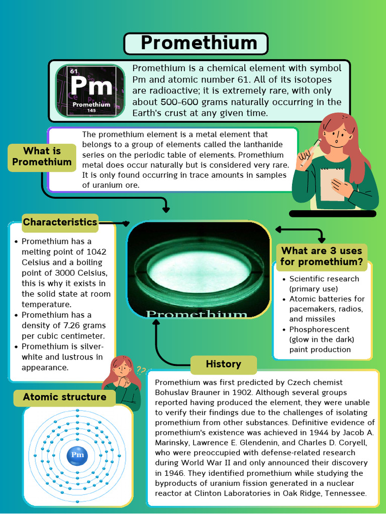 Structure, Function, and Information Processing Educational Poster in Green - 20250716 - 151606 ...