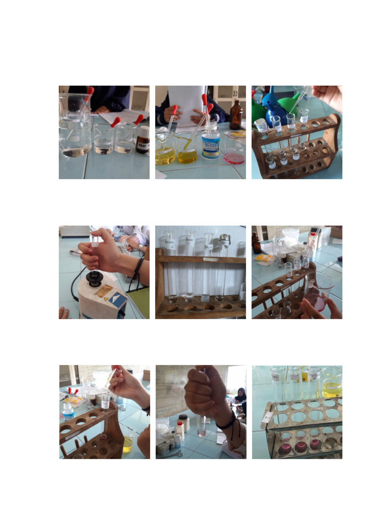 Laprak Biokim Lipid | PDF