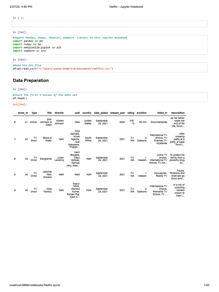 Netflix - Jupyter Notebook | PDF