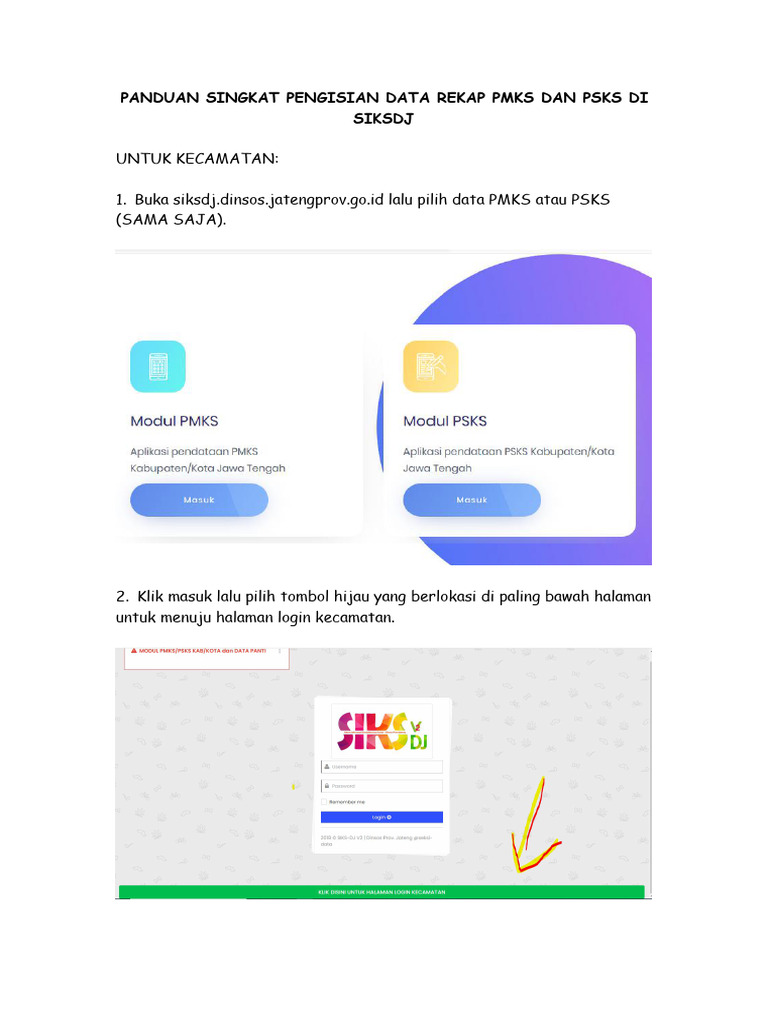 Panduan Singkat Pengisian Data Rekap Pmks Dan Psks | PDF