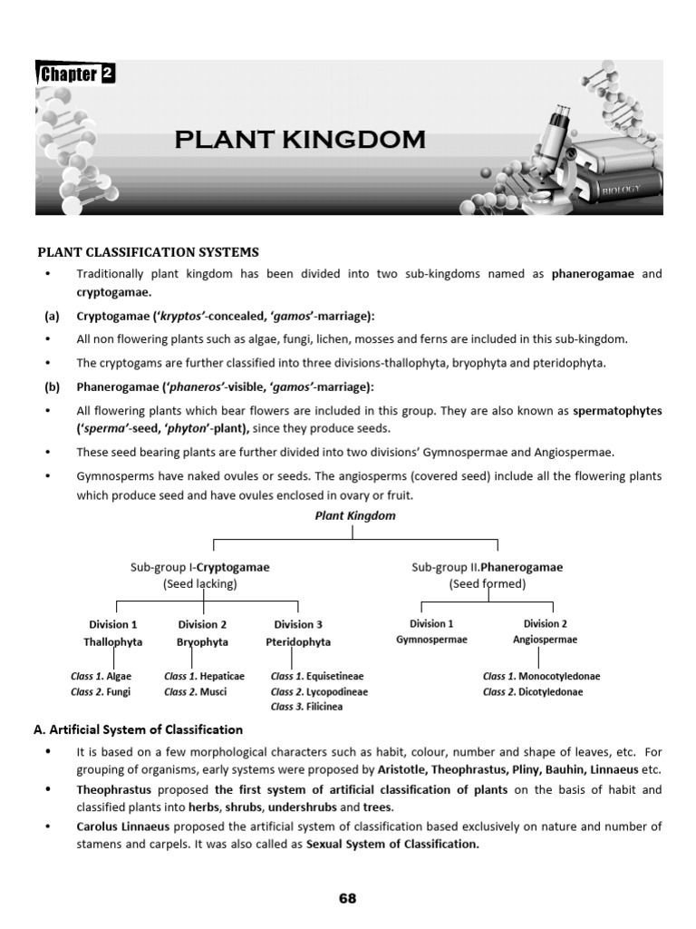 Plant Kingdom Classification Overview | PDF | Moss | Plants