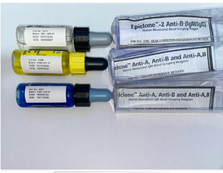 Abo Typing Sera | PDF