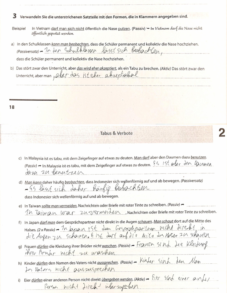 Hausaufgabe ÜB Tabus Passiversatz | PDF