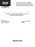 Échelle de Bristol des selles : Guide médical | PDF