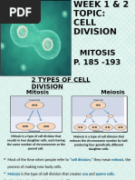 Understanding Mitosis and Its Importance | PDF | Mitosis | Meiosis