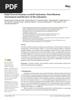 Grade 6 Short Stories | PDF | Spider