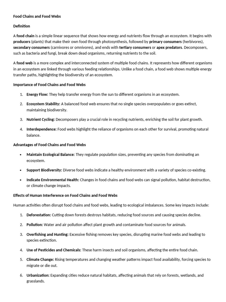 Food Chains and Food Webs (Write-Up) | PDF | Food Web | Foods