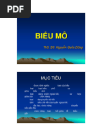 Bài 1 - Biểu Mô | PDF