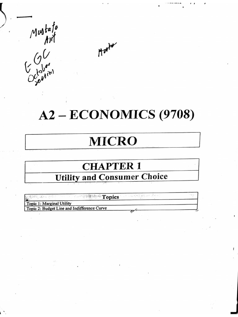 Micro Chapter 1-Utility and Consumer Choice | PDF