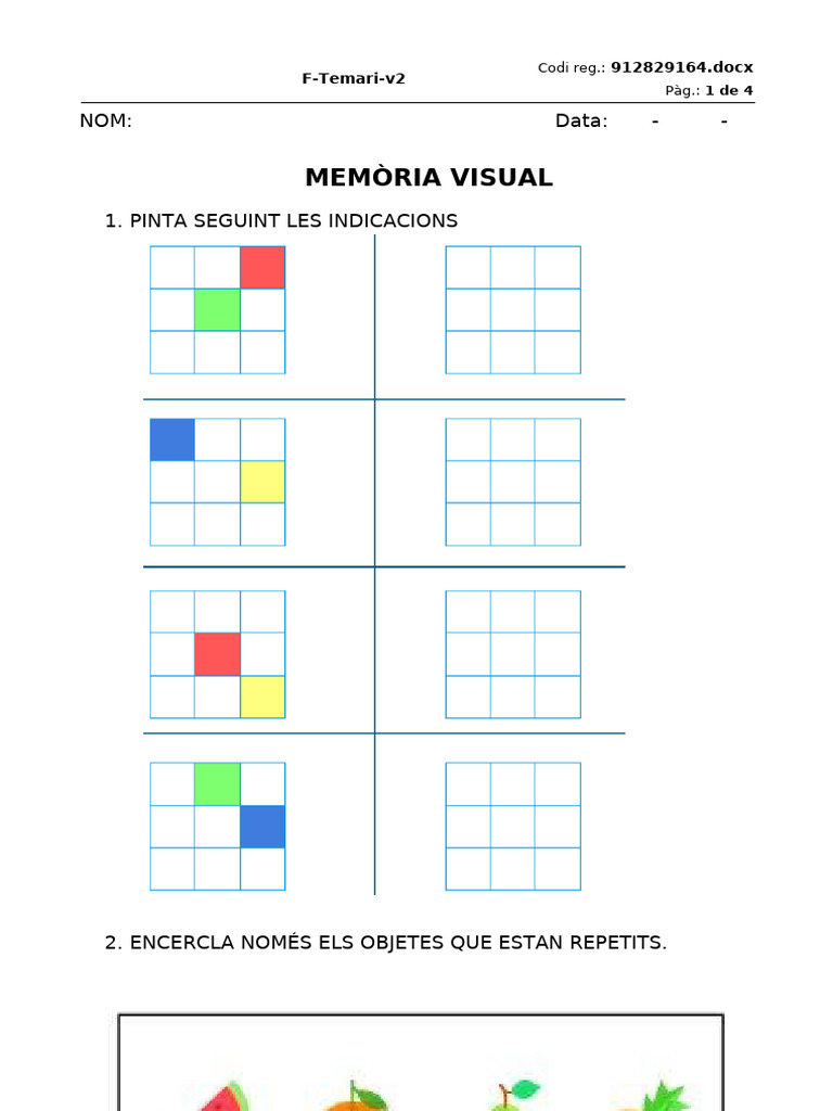 Rsoi 1r 03 Memòria Visual | PDF