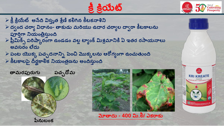 Kri - Kreate Telugu PPT 2 - Removed | PDF