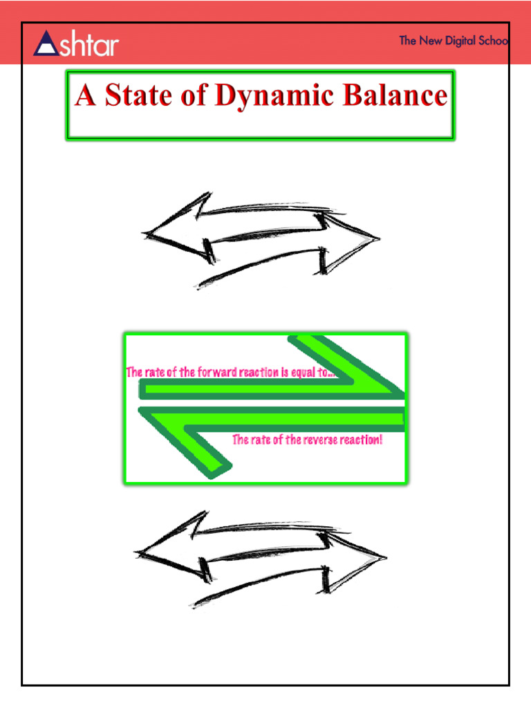 A State of Dynamic Balance | PDF | Chemical Equilibrium | Reaction Rate
