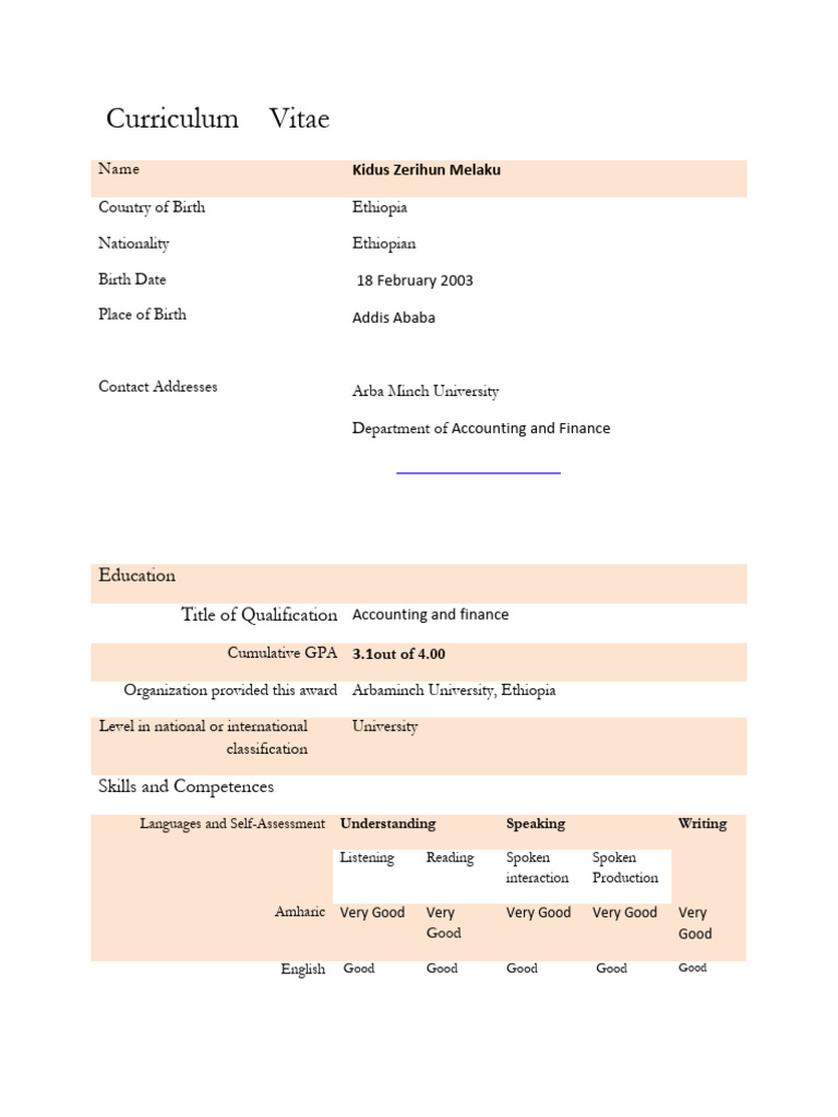 CV - Kidus Zerihun | PDF