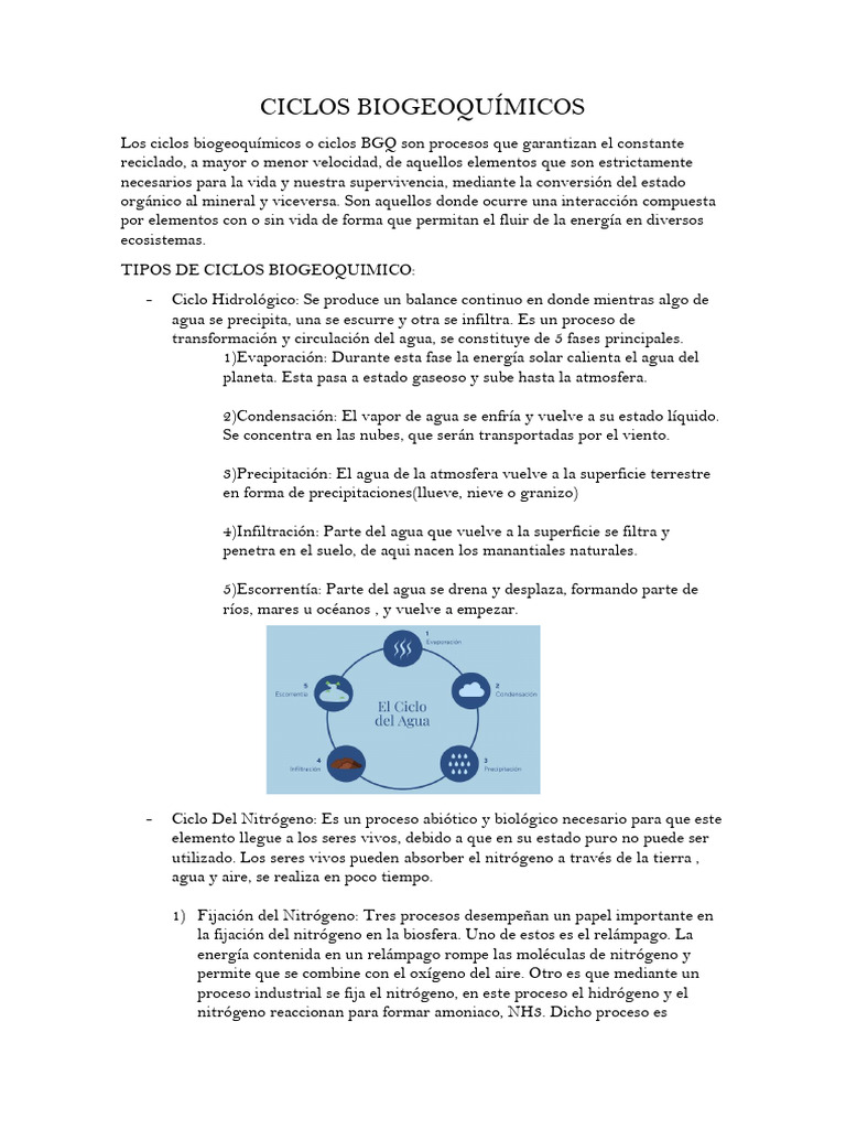 Ciclos Biogeoquímicos | PDF | Calcio | Agua