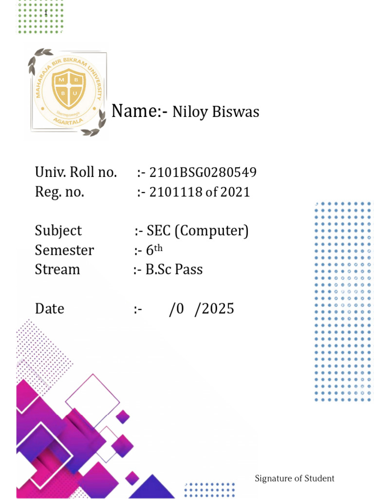 Name:-: Niloy Biswas | PDF