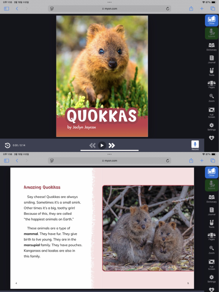 Reading5 Quokkas | PDF