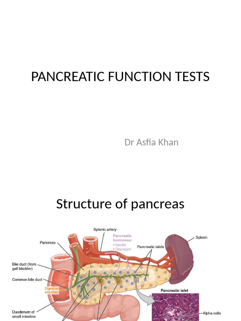 Pancreatic Function Tests | PDF | Pancreas | Digestive System