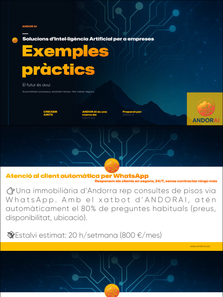 Casos Practics ANDOR AI | PDF