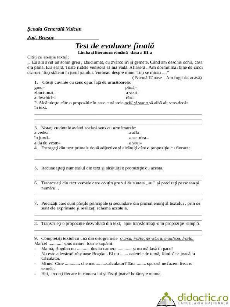 Evaluare Finala LLR - Clasa 3 | PDF