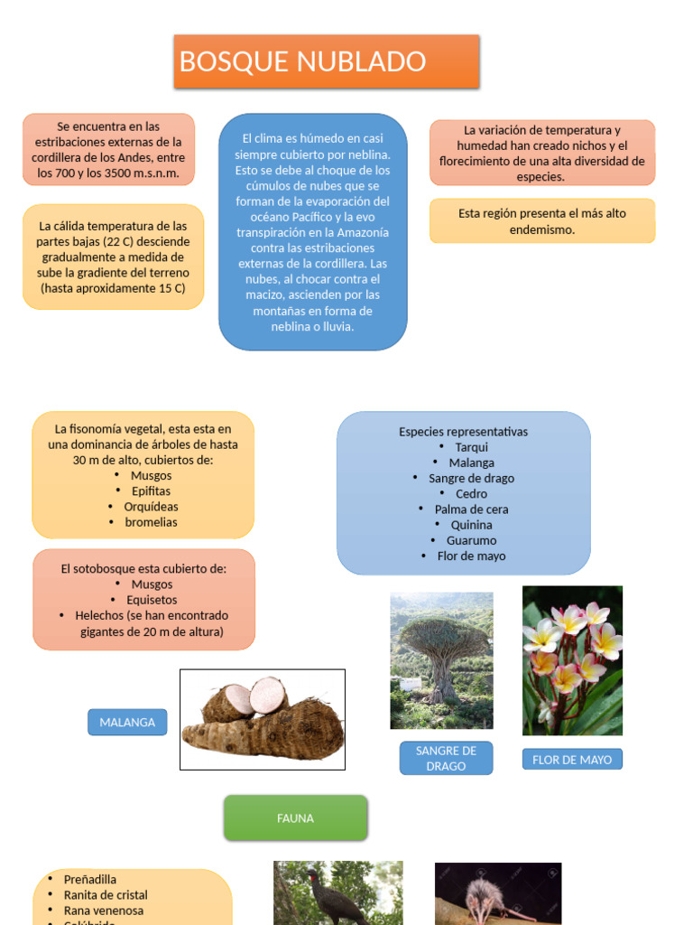 Clase 8 Ecosistemas de Ecuador-Bosque Nublado - Matorral Interandino ...