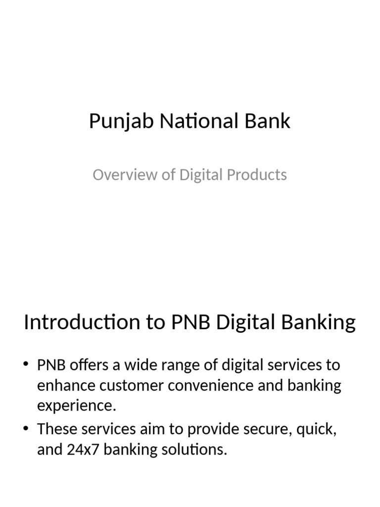 PNB Digital Banking Services Overview | PDF